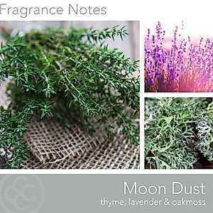 Manly Indulgence Moon Dust Scented Jar Candle, Rebel Collection, 2 Wick, Blue, 22 oz - Up to 120 Hours Burn