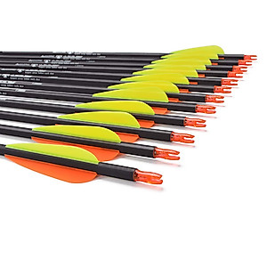Carbon Arrow Hunting Arrows with 100 Grain Tip and Removable Tips for Archery Compound & Recurve & Traditional Bow Practice Shooting Targeting