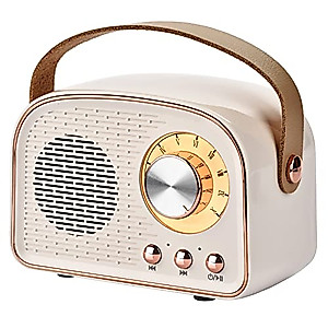 Aresrora Retro Bluetooth Speaker,Wireless Vintage Speaker,Outdoors Wireless Portable Bluetooth Speaker Supports TWS Pairing/U-Disk/TF Card/AUX for Home,Travel,Outdoor (White)