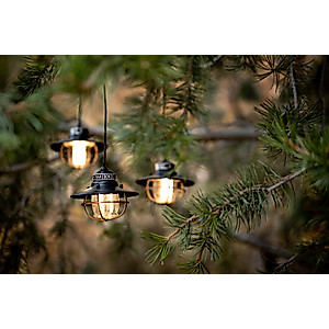 Barebones Edison Pendant String Lights - Forest Lantern, Lantern, and Railroad Lantern - Formal Outdoor String Lights Edison and String Lanterns (Antique Bronze)