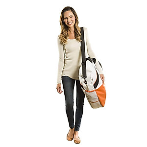 Evenflo Exersaucer Fast Fold & Go, D is for Dino