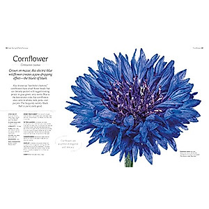 The Flower Book: Let the Beauty of Each Bloom Speak for Itself