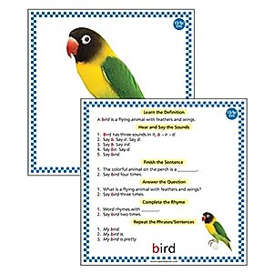Super Duper Publications | Webber® Big Apraxia Photo Cards | Organized Words by Syllable for Ease of Speech Production | Vowels and Consonants | Basic Syllable Shapes | Activities with Instructions