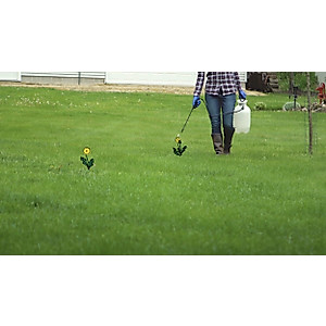 Compare-N-Save 2-4-D Amine Broadleaf Weed Killer, 32-Ounce