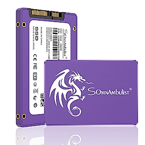 Somnambulist Internal Hard Drive SSD 60GB 120GB 240GB 960GB 2TB SATA3 2.5 inch SSD 480GB SSD (Purple Dragon 240GB)