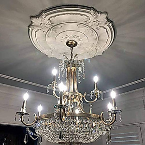 Ekena Millwork CM20VIUWF Vienna Ceiling Medallion, 20"OD x 3 1/2"ID x 1 1/2"P, Hand-Painted Ultra Pure White