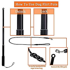 ASOCEA Dog Tug Toy with Flirt Pole,Aggressive Chewers Dog Squeaky Bungee Rope Toy Chase Pull Tug of War Lure Toy with Teaser Wand for Small Medium Large Dogs Puppy Outdoor Exercise & Training …
