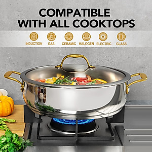 MICHELANGELO Stainless Steel Pan with Lid - 7 Quart Saute Pan, Deep Frying Pan with Lid, Dishwasher and Oven-Safe, All Cooktops Compatible, 12 Inch