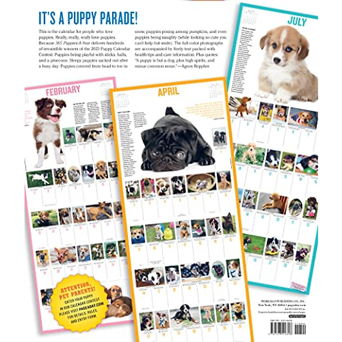 365 Puppies-A-Year Picture-A-Day Wall Calendar 2023: Absolutely Spilling Over With Puppies