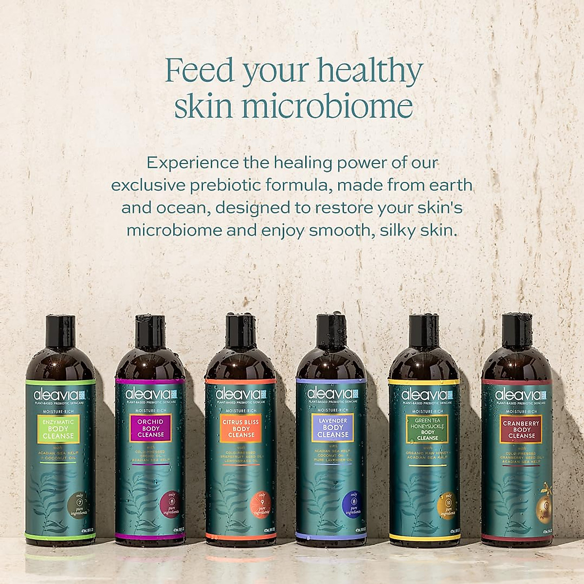 Aleavia Lavender Body Cleanse – Organic & All-Natural Prebiotic Body Wash, Scented with Pure Essential Oils – Nourish Your Skin Microbiome – 16 Oz.