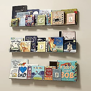 steauty 24 Inch Acrylic Floating Shelves,4Pack Invisible Clear Acrylic Bookshelf,5MM Thick Acrylic Wall Mounted Shelf