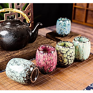 CteaTs Chinese/Japanese Style Ceramic Tea Cup Set Coffee Mug Asian Kung Fu Teacups Ceramic Yerba Mate Cup Set(5 Pack)