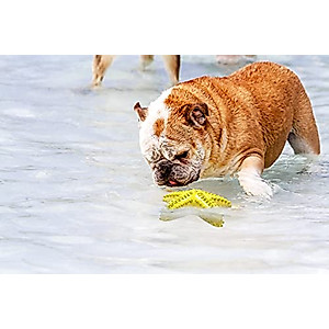 Carllg Dog Toys for Aggressive Chewers, Dog Teething Cleaning Toothbrush Toy, Durable Squeaky Interactive Starfish Puppy Toys for Small Medium Large Breed