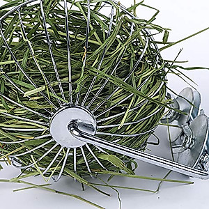 Guinea Pig Hay Feeder, Rabbit Grass Manger Holder Feeding Dispenser for Bunny Chinchilla Small Animal