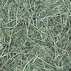 Eaton Pet and Pasture Naturally Grown, Premium, 1st Cut Blend, Western Timothy Hay Orchard Blend, Small Animal Food, Sustainable, Eco-Friendly, Farmer-Owned, 6LB-Box.