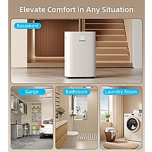 6000 Sq. Ft Dehumidifier for Basement, Wpsoert 100 Pints Dehumidifiers for Home Large Room with Drain Hose, Intelligent Humidity Control, Three Modes Deshumidificador, Child Lock, 24H Timer