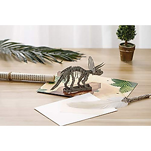 Liif Dinosaur 3D Greeting Pop Up Birthday Card, Happy Birthday Card for Kids, Boy, Son, all occasions, Birthday, Thank you, Thinking Of You, Congratulations