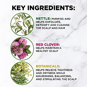 CHI Power Plus Step Exfoliate Shampoo 32oz Power Plus Step 2 Nourish Conditioner 32oz and Power Plus Step 3 Revitalize Vitamin Hair Scalp Treatment 3.5oz fluid_ounces, 12 Fl Oz