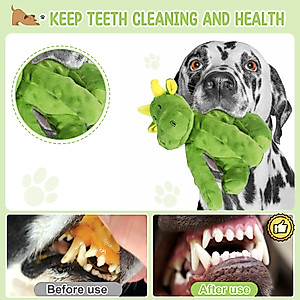 Letsmeet Squeaky Dog Toys Plush Dog Toy with Crinkle Paper Stuffed Durable Dog Chew Toys for Small Middle and Large Dogs