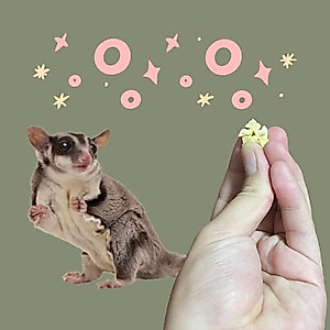 PETIVORE Premium Dried Apple for Sugar Glider and Small Exotic Pet - Made with Real Fruit - Sugar Glider, Hamster, Marmoset and All Type of Rodents Treats, Snacks and Food (20g)
