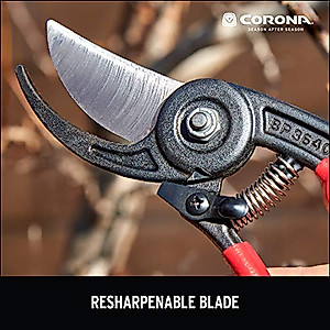 Corona BP 3640 Forged Steel ErgoACTION Angled Bypass Hand Pruner - 3/4 inch Cut Capacity Stem and Branch Garden Shears, Red