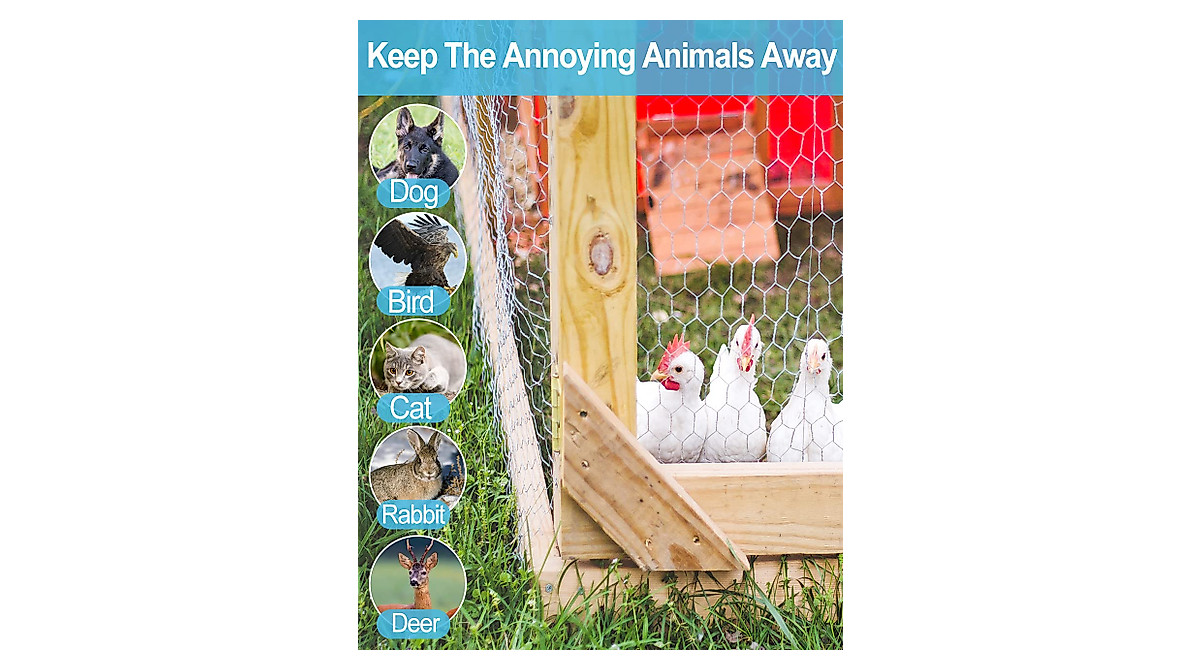 Durable 16in x 82ft Chicken Wire | TOYPOPOR Poultry Netting