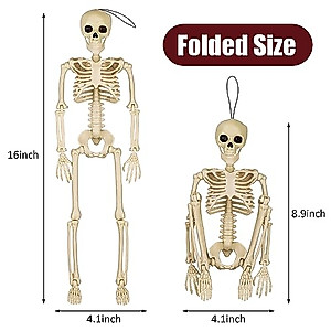 GoClimber 2 Packs Posable Halloween Skeletons, 16" Full Body Posable Joints Skeletons for Halloween Decoration, Graveyard Decorations, Haunted House Accessories, Spooky Scene Party Favors