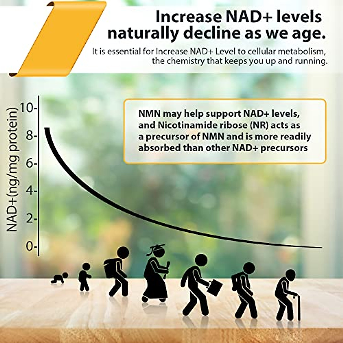 Orgabay Liposomal Nicotinamide Riboside 2000 MG with TMG and Pterostilbene, Boosting NAD+, Support Healthy Aging, 60 Count