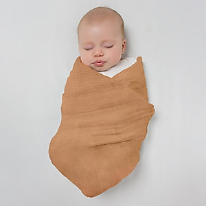 SwaddleDesigns Cotton Muslin Swaddle Blankets, Set of 4, Receiving Blankets for Baby Boys & Girls, Best Shower Gift, 46x46 inches, Pastel Pink Butterflies and Posies