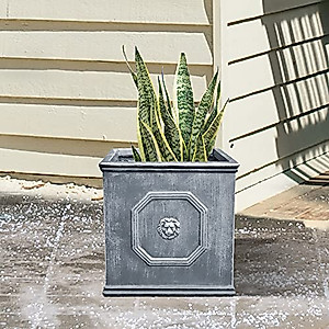 Kante Lightweight Classic Square English Style Lion Head Planter 12.6"x12.6"x12.6" Antique Gray
