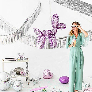 BEISHIDA 3 Packs Metallic Foil Fringe Garland Silver Wall Hanging Tinsel Fringe Banners for Car Parade Floats Bridal Shower Wedding Birthday Easter Graduation Holiday Party Decoration(30 Feet)