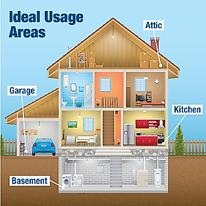 Enoz No Zone Roach Away Boric Acid Powder, Kills Cockroaches, Silverfish, and Ants (1475-20201)