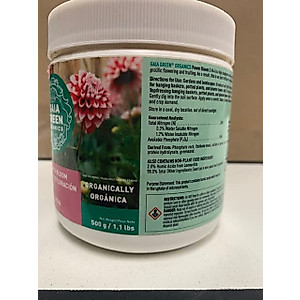 GG Power Bloom, 500 Gram