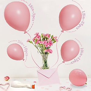 Scmdoti Rose Gold Different Sizes,Double Stuffed Pink Balloon Arch,Pastel Pink Balloons Garland,18/12/10/5 Inch Pink Balloons for Boho Party, Baby Shower, Birthday, Weddings (blue)