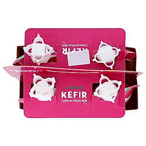 Lifeway Probugs Organic Kefir, Goo-Berry, 3.5 Ounce, 4-Pack