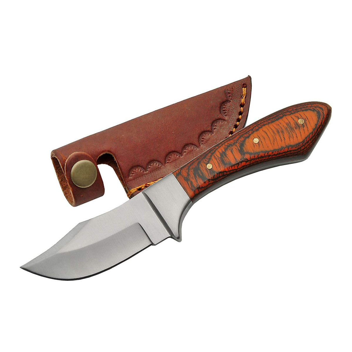 Szco Supplies 7.25” Small Upsweep Drop-Point Outback Pakkawood Handle Skinning Knife with Sheath,Brown
