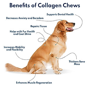 Scouts Essentials - 12” Premium Braided Collagen Chews 1 Pound 100% Natural Pure Grass-Fed Beef Single Source Treat Long Lasting Aggressive Dog Chewers Medium Large Dogs Muscle Growth