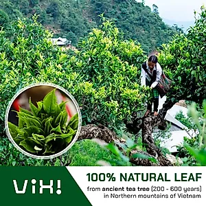 VIXI Green Tea Bags, 100 Counts, Vietnam's Mountain Tea, Antioxidant, Caffeinated, Tagless, Plastic Free, Balanced Flavored, 100% Natural for Hot, Iced and Cold Brew