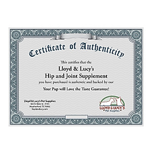 Lloyd & Lucy's Hip and Joint Supplement for Dogs - Chewable Multivitamin with Glucosamine, Chondroitin, MSM and Vitamin C - Healthy Liver Flavored Treat Pets Will Love - 180 Ct Tablets