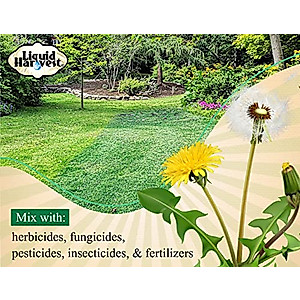 Liquid Harvest Lazer Green Concentrated Spray Pattern Indicator - 1 Gallon (128 Ounces) - Perfect Weed Spray Dye, Herbicide Dye, Fertilizer Marking Dye, Turf Marker and Herbicide Marker