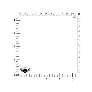 Silvershake 8mm Natural Round Shape Black Onyx 925 Sterling Silver Triquetra Celtic Knot Solitaire Ring Size 9