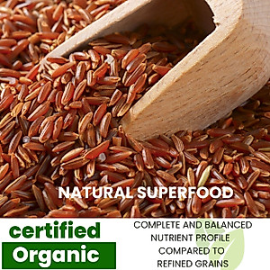 Organic Thai Red Jasmine Rice - Gluten Free - Preservative Free - Small Lot Farmed from Thailand - 2 LB