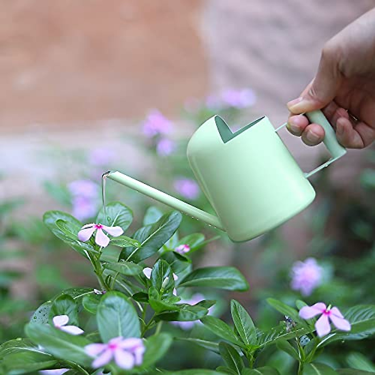 YISSSN Mini Bonsai Watering Can for Indoor Plants Stainless Steel, 10oz/300ml (Green)