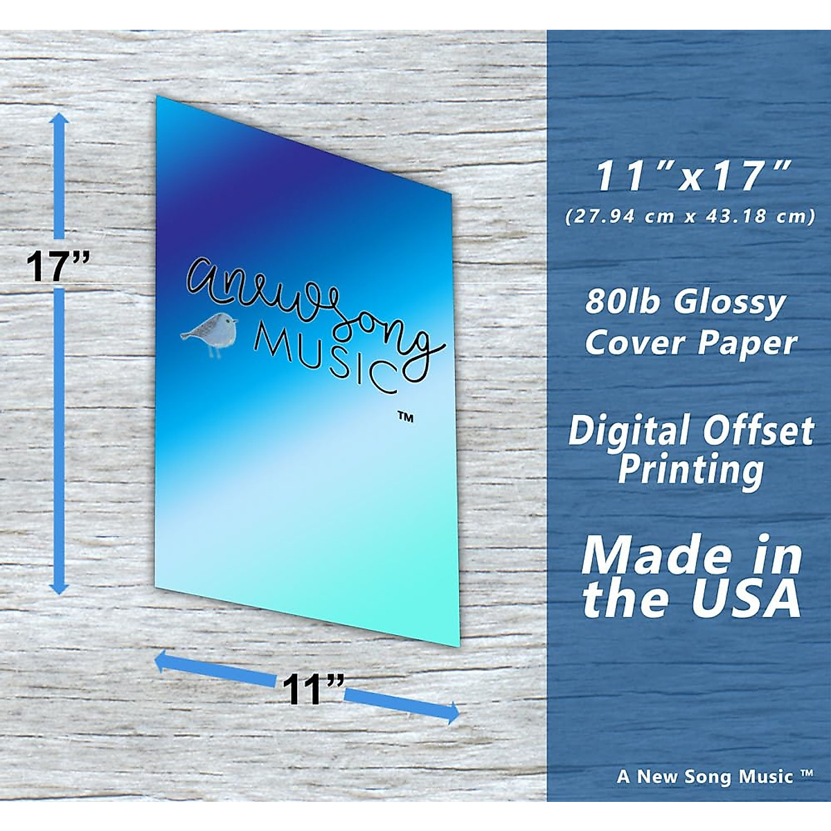 5 String Bass Fretboard Poster - Nashville Numbering System, Circle of 5ths, Notes Instructional Chart | A New Song Music | 11x17