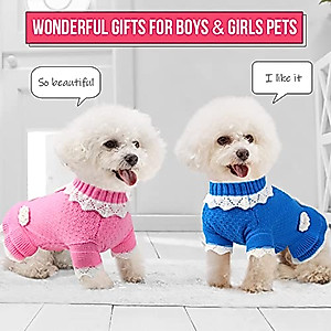 Joytale Small Dog Sweater Turtleneck Dress, Soft Warm Winter Pet Cable Knitwear Clothes with Cute Flower, Girl Boy Dog Pullover Knitted Sweaters for Cats Puppies Extra Small Dogs, Blue