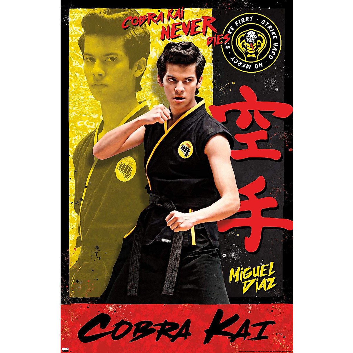 Trends International Cobra Kai - Miguel Wall Poster, 22.37" x 34.00", Unframed Version