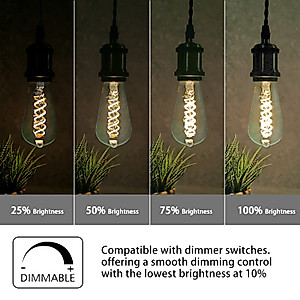 RuiAoTD ST58 (ST19) Vintage Edison LED Bulb, Daylight White 4000K, Antique Flexible Spiral LED Filament Light Bulb, 600LM Dimmable, 6W Equivalent to 60W, CRI 80+, E26 Base, Clear Glass, 6 Pack