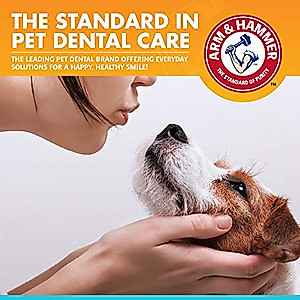 Arm & Hammer for Pets Clinical Care Dental Enzymatic Toothpaste for Dogs | Soothes Inflamed Gums | Safe for Puppies 1 Pack Fresh Breath Vanilla Ginger