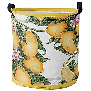 Large Laundry Basket 16.5x17in, Watercolor Summer Lemon Abstract Art Waterproof Dirty Clothes Bag Hamper with Handles, Yellow Frame Lace Collapsible Sorter Basket for Bathroom Bedroom Home