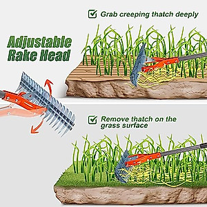Walensee Thatch Rake, 15-Inch Lawn Thatching Rake, Robust Dethatcher Rake, Efficient Steel Metal Rake with Handle, Versatile Grass Grooming Rake for Cleaning Dead Grass, Yard Garden Durable Soil Rake